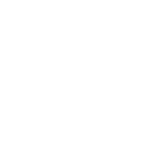 Home – The London Clean Air Initiative